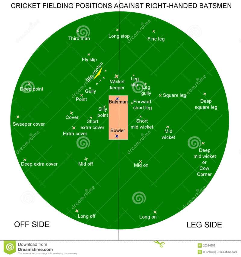 Fielding Positions In Cricket – Seaflag Global Shipping Pvt Ltd